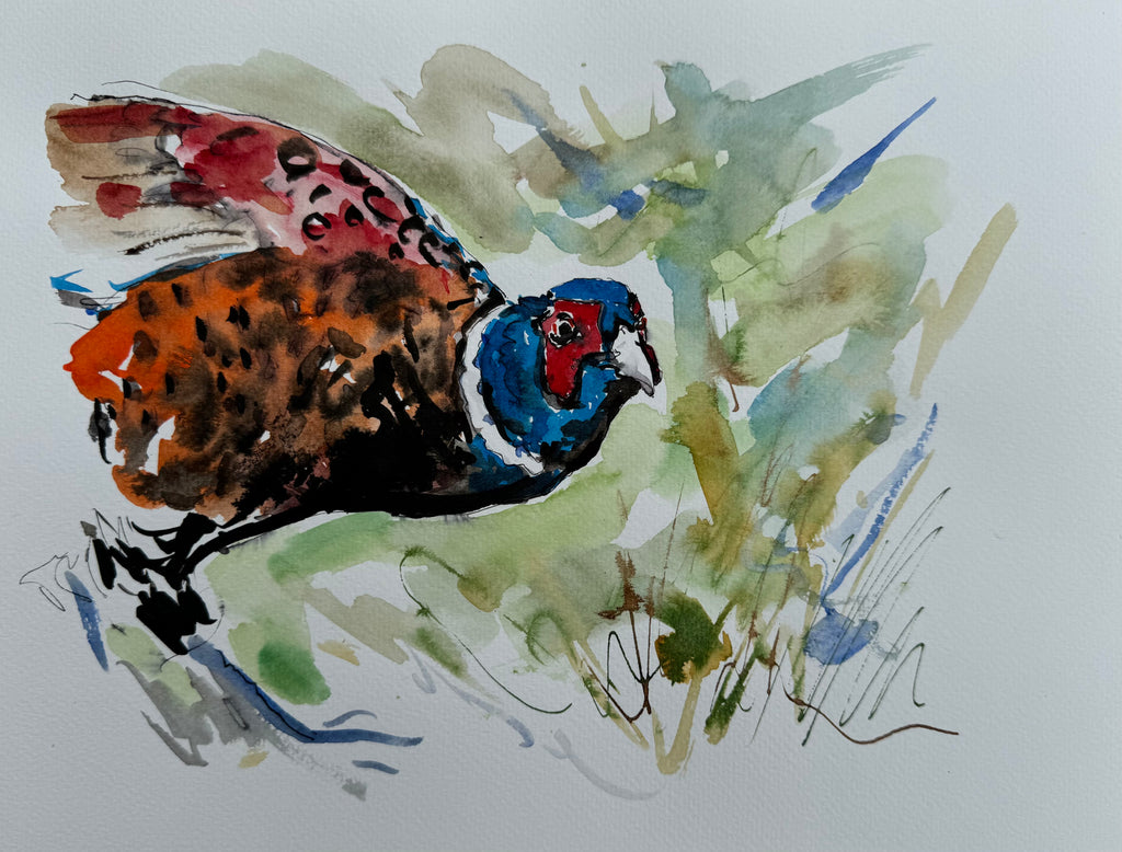 Curious Pheasant - bird painting – Garth Bayley Art